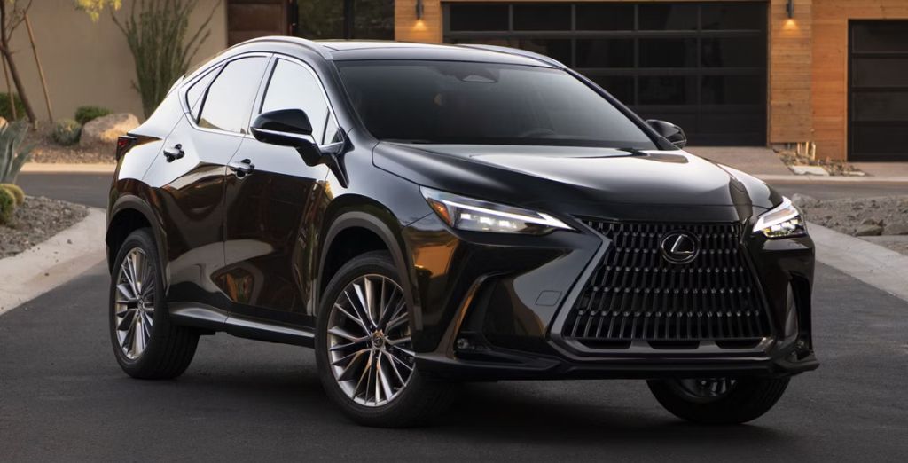 2025 vs 2024 Lexus NX Comparison | Trims, Features & Updates