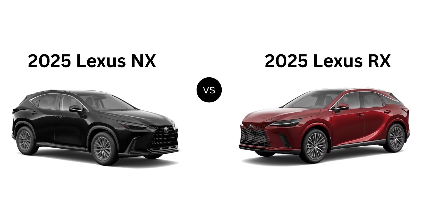 Compare 2025 Lexus NX vs 2025 Lexus RX - Lexus of Windsor