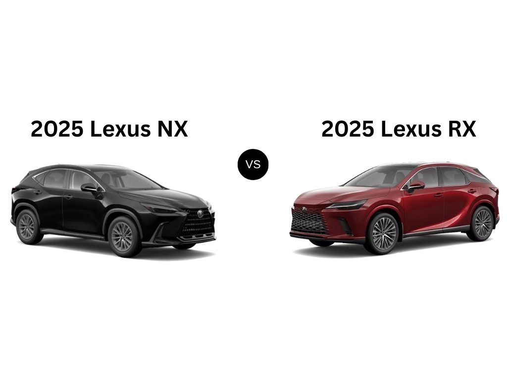 Compare 2025 Lexus NX vs 2025 Lexus RX - Lexus of Windsor